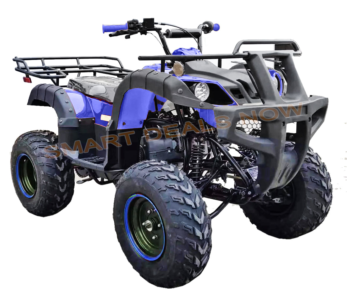 200cc Youth ATV Full-Size | 56L-200 Adult Quad – DALLAS POWER SPORT
