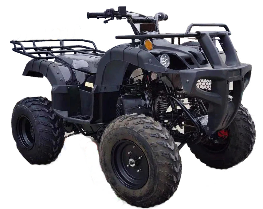 200cc Youth ATV Full-Size | ATV-56L-200 Blue – DALLAS POWER SPORT