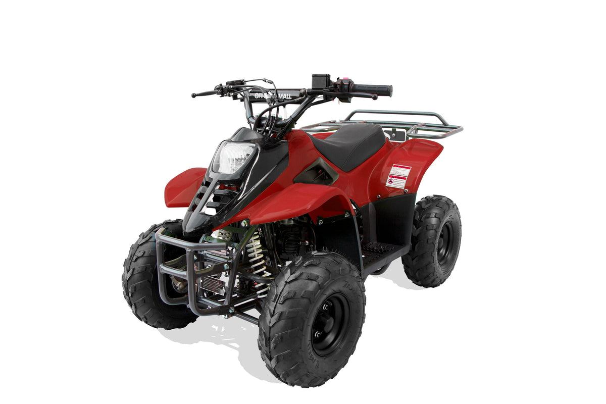 Hawk 6 110cc 4 Stroke Kids ATV | C.A.R.B approved California buyers ...