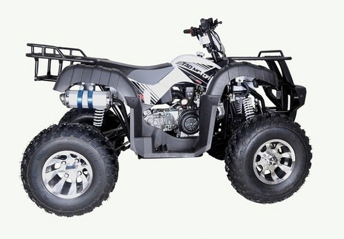 TaoTao Bull 200S 169cc Full Size Utility ATV Automatic – DALLAS POWER SPORT