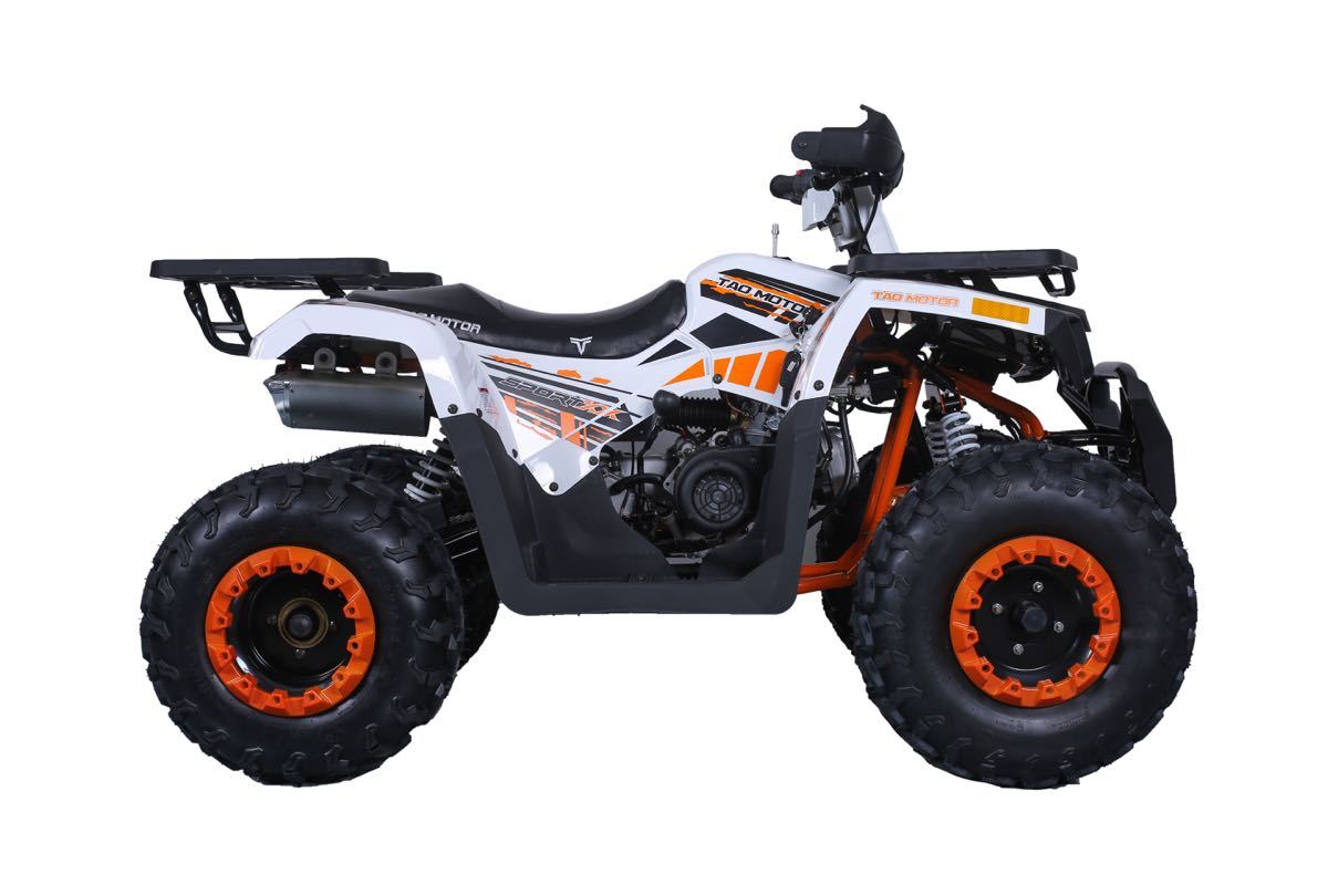 Buy Taotao Raptor 200 Utility Youth ATV Automatic 169CC At Cheap Price ...