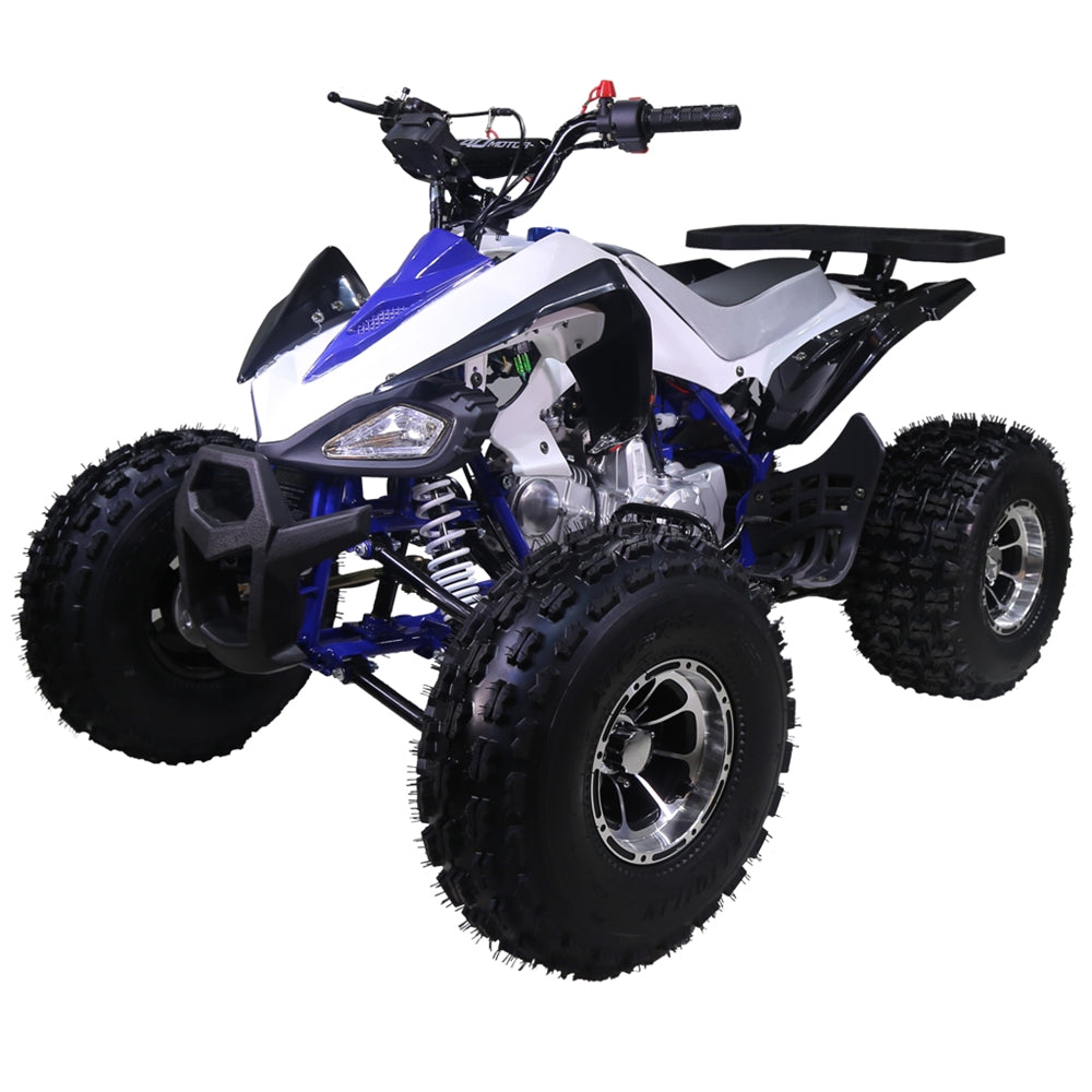Buy Taotao 125cc ATV Fully Automatic Mid-Size RACING STYLE ATV | Dallas ...